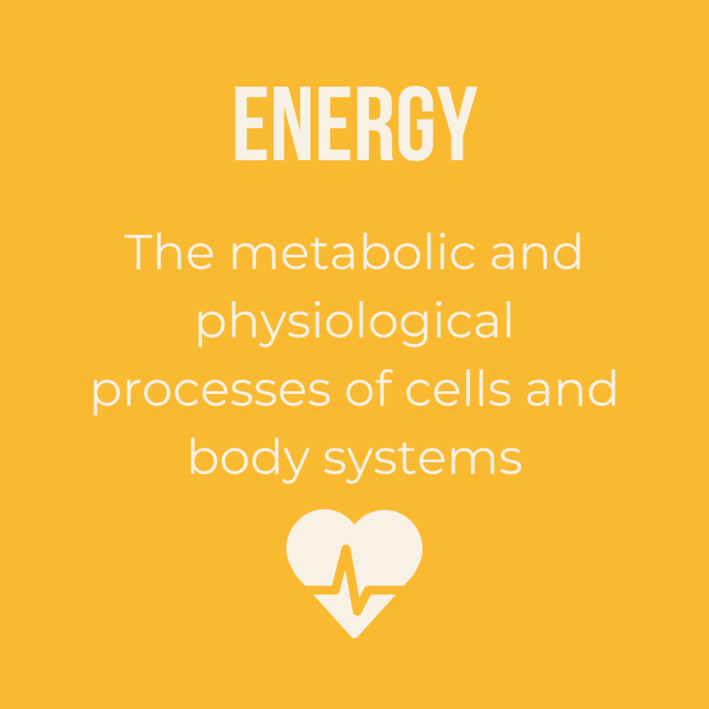 Vive | What We Do - Proven Recovery Methodology That Gets results