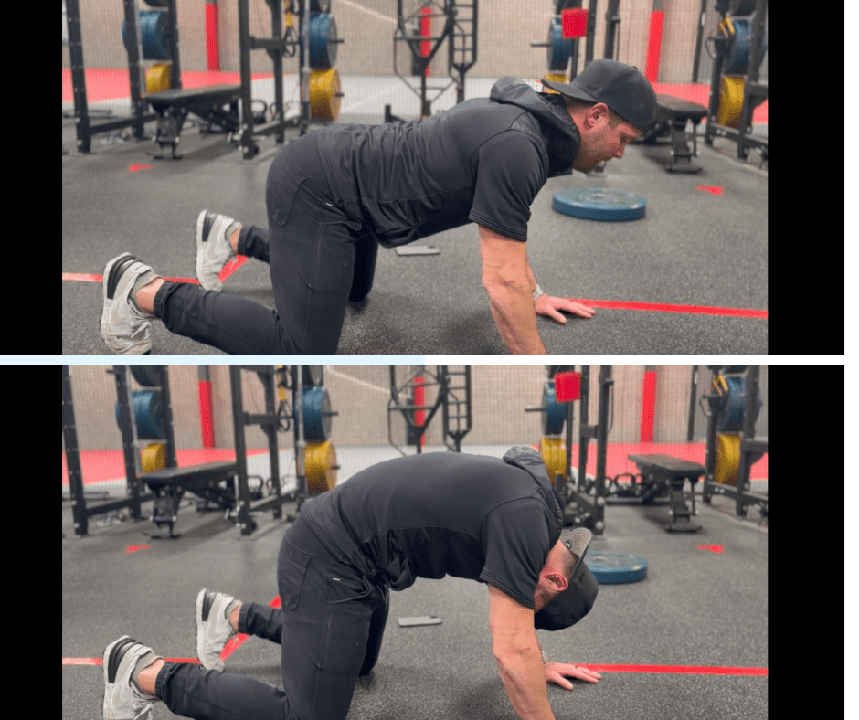 Stop Stretching Your Back! – Vive